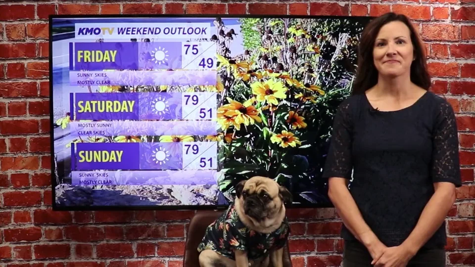 Weekend Weather on Vimeo