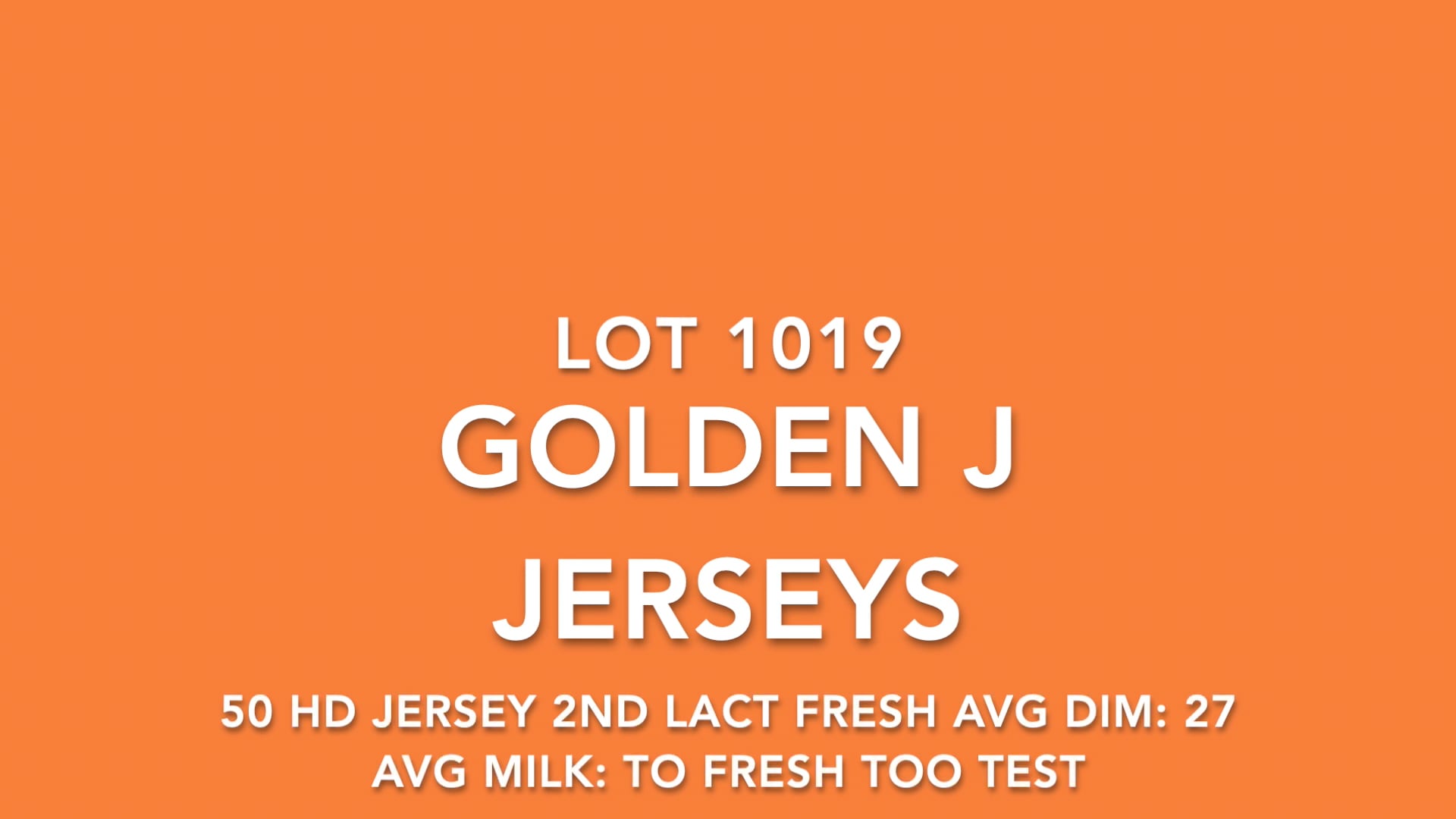 LOT 1019 GOLDEN J JERSEYS on Vimeo