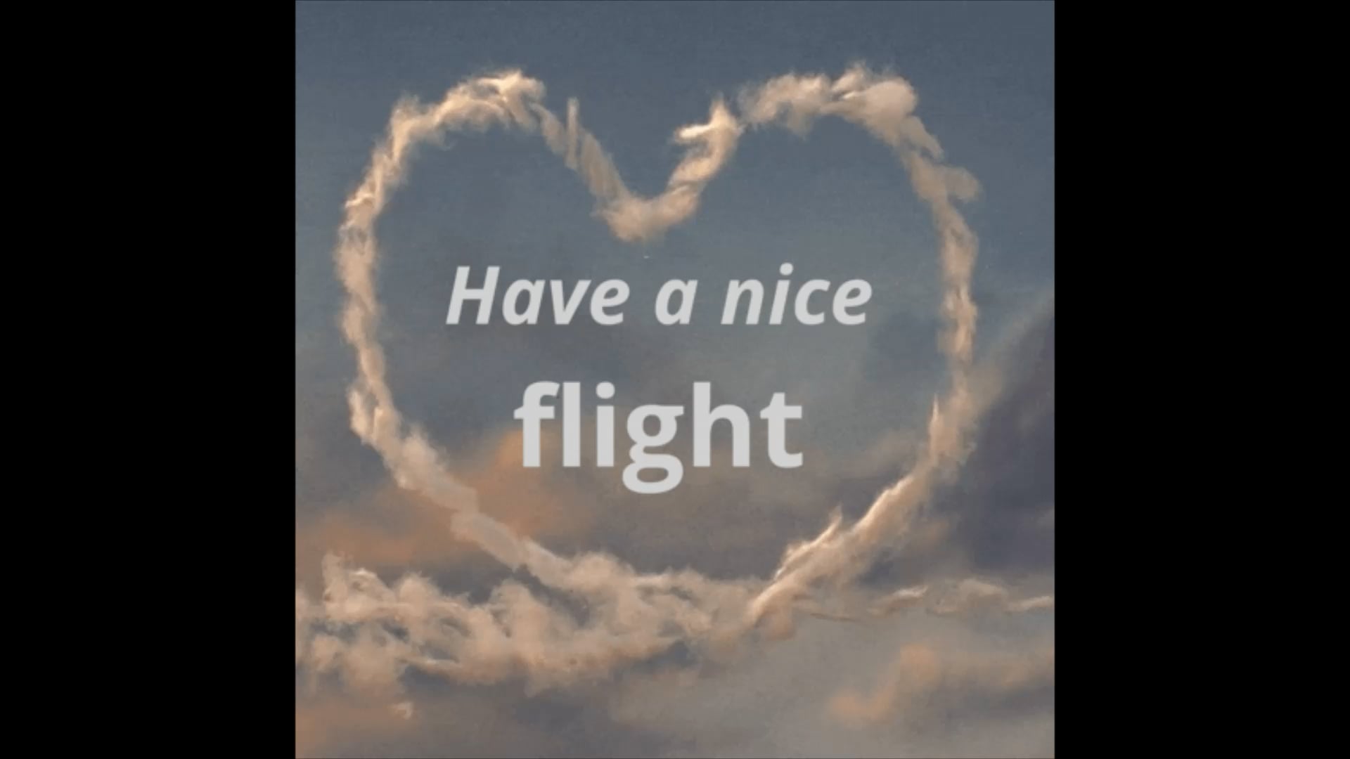 Have a nice flight.mp4