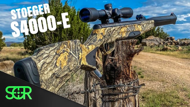Stoeger S4000-E REVIEW .22 CAL a Quiet, Accurate + Cool Lookin Break ...