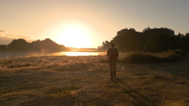 Homem Caminhada Andando - Free video on Pixabay