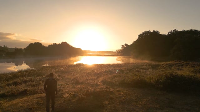 Peaceful Walk Videos: Download 36+ Free 4K & HD Stock Footage Clips ...