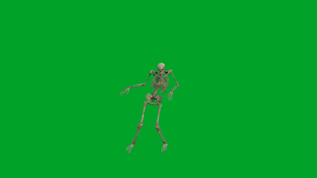 Skull, Skeleton, Halloween. Free Stock Video - Pixabay
