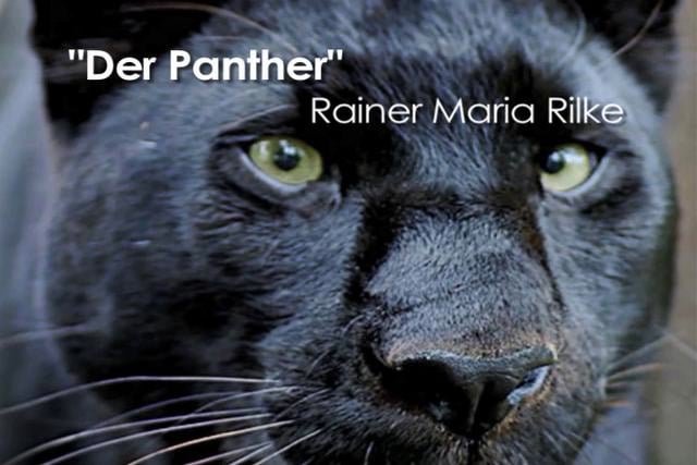 The Panther by Rainer Maria Rilke Translator: Mike Stephens on Vimeo