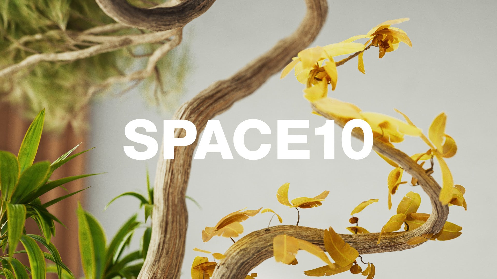 SPACE10: Carbon Banks