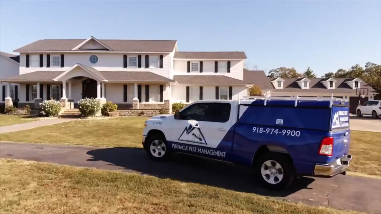 Pinnacle Pest Management - Pest Control, Rodent Control, Termite ...