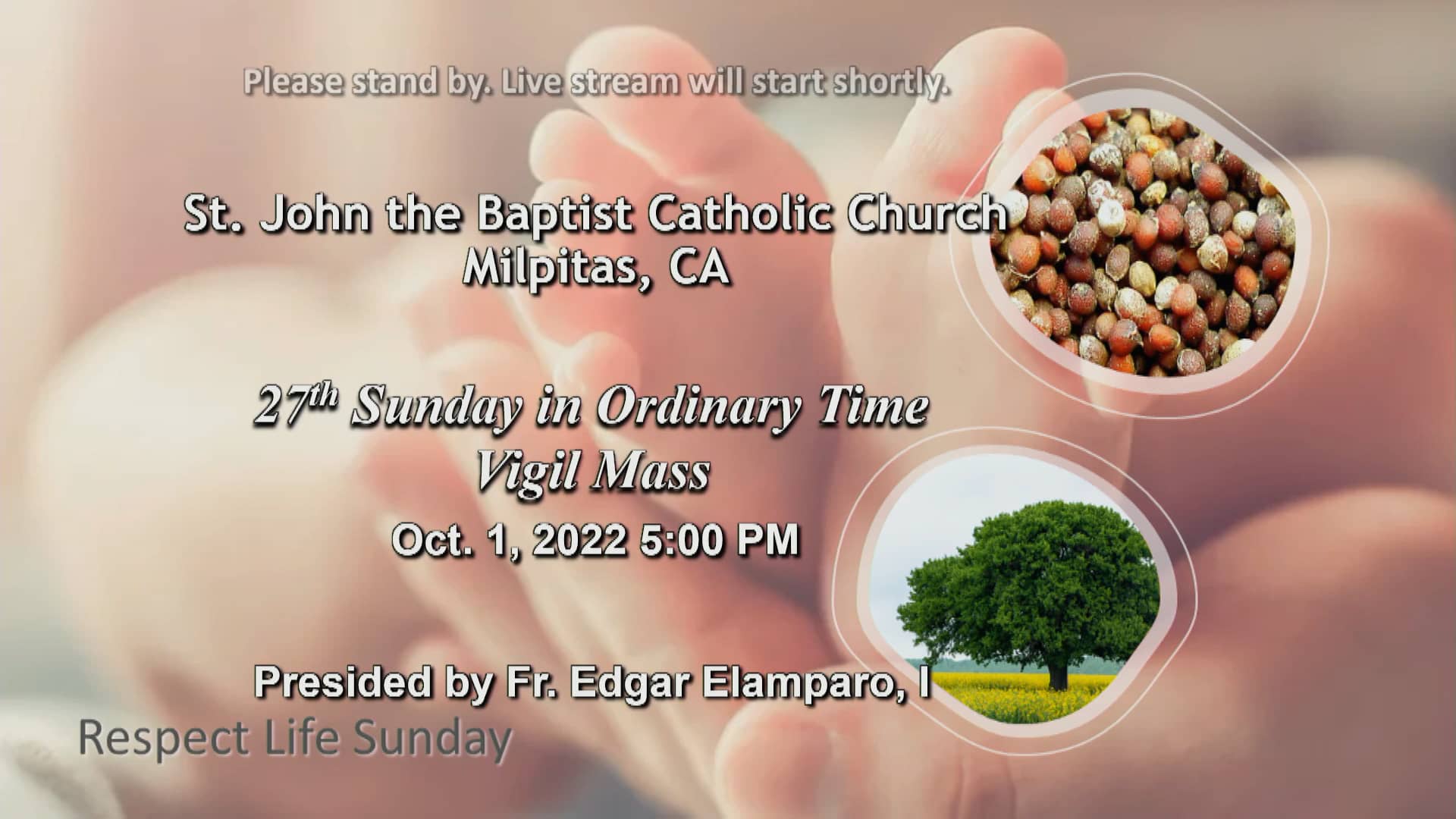 27th Sunday in Ordinary Time (C) Vigil Mass, Oct. 1, 2022 on Vimeo