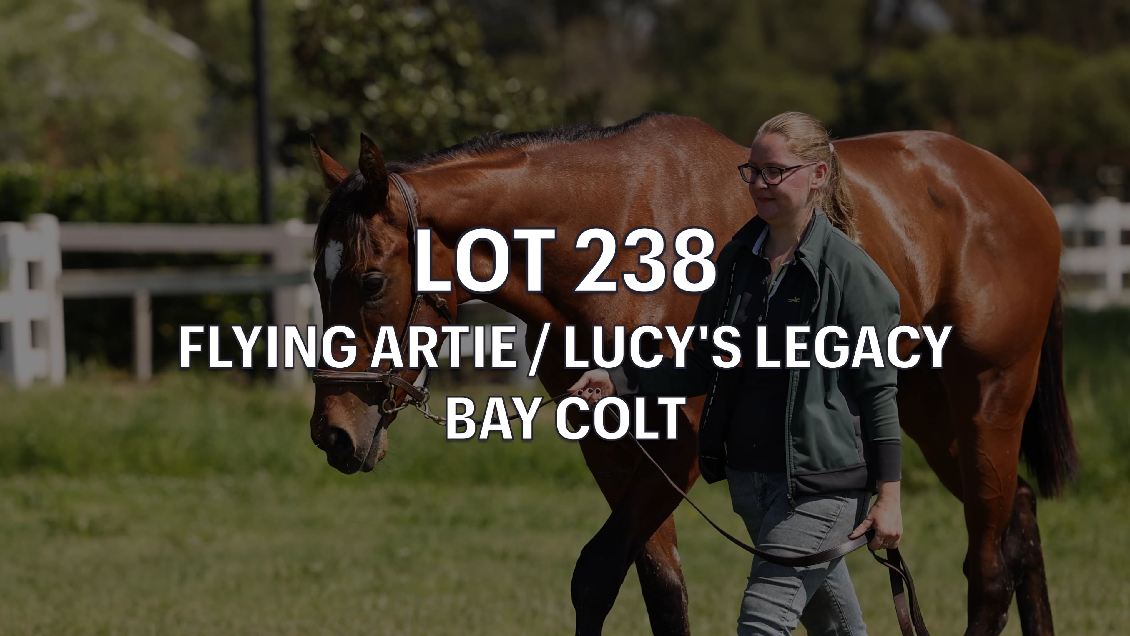 Flying Artie x Lucy's Legacy.m4v on Vimeo