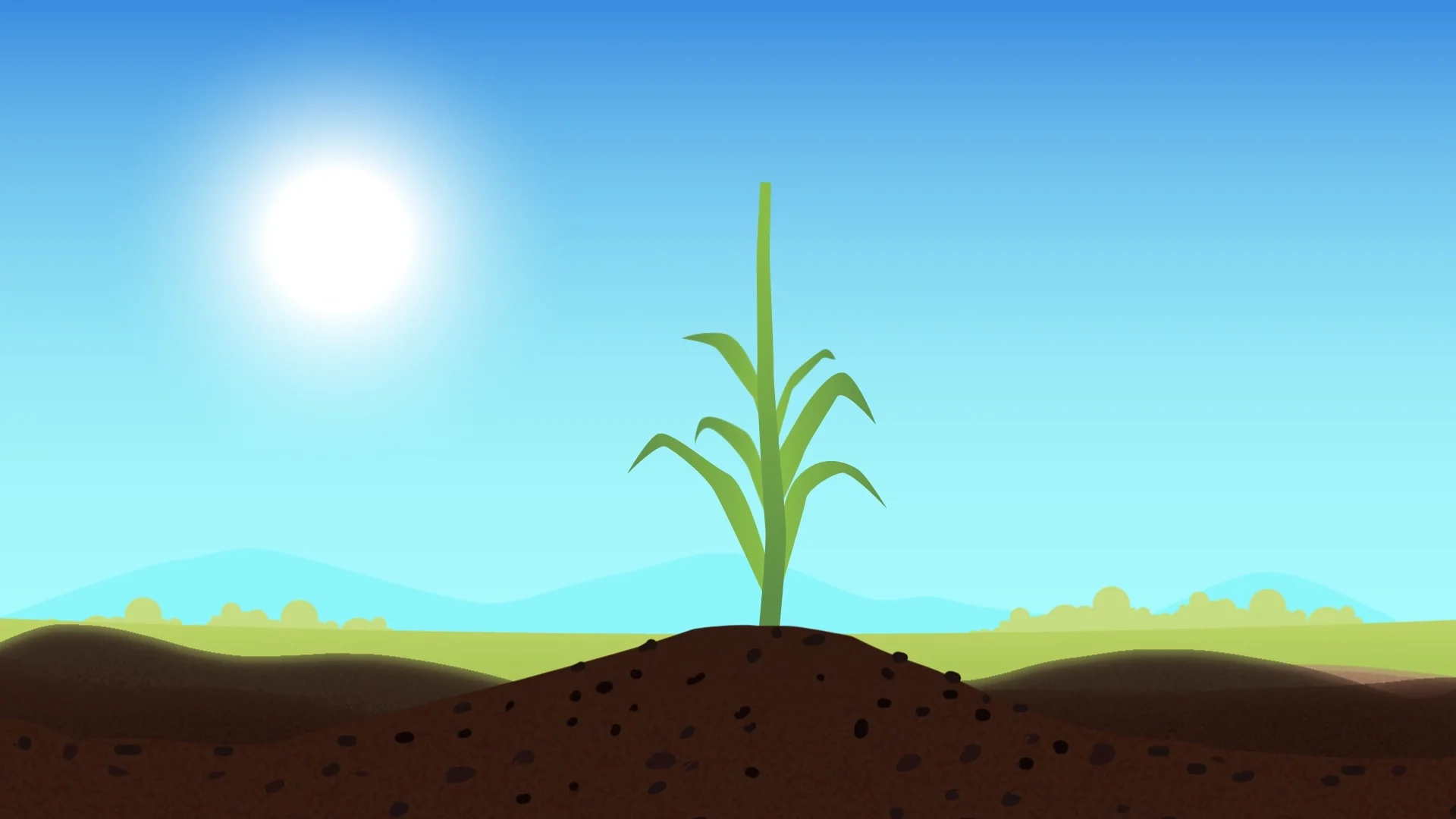 Biosoilz Explainer