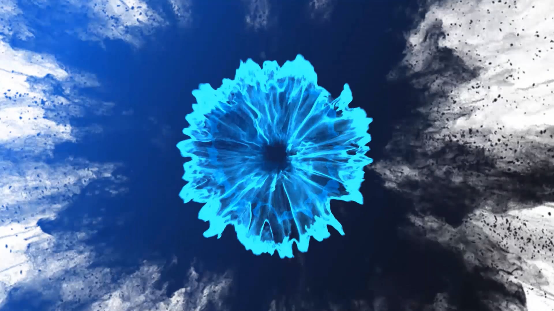 Trailers General Info