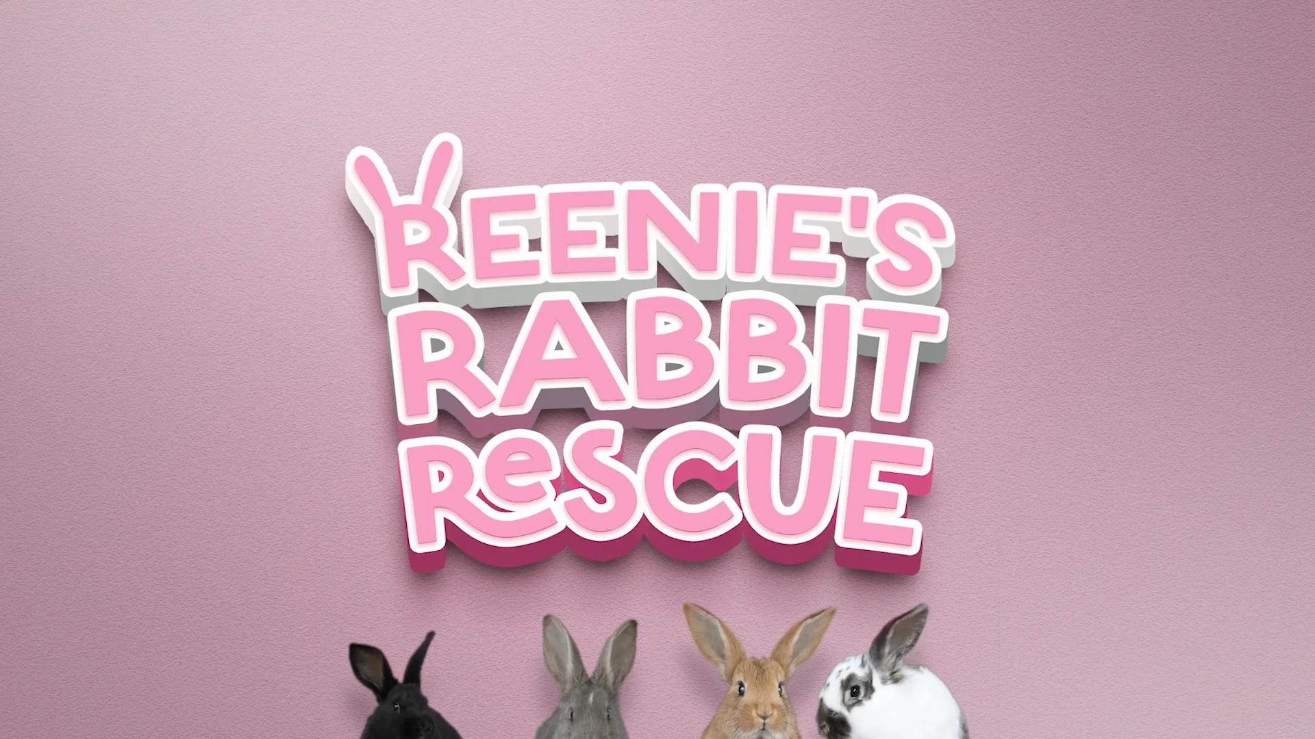 Reenie's_Rabbit_Rescue_100122_b on Vimeo
