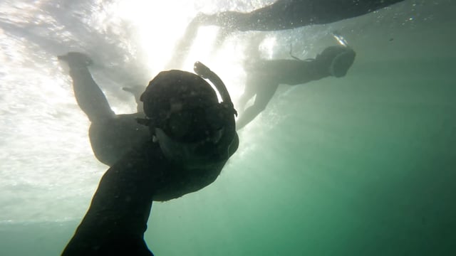 Diving Snorkeling Ocean - Free video on Pixabay