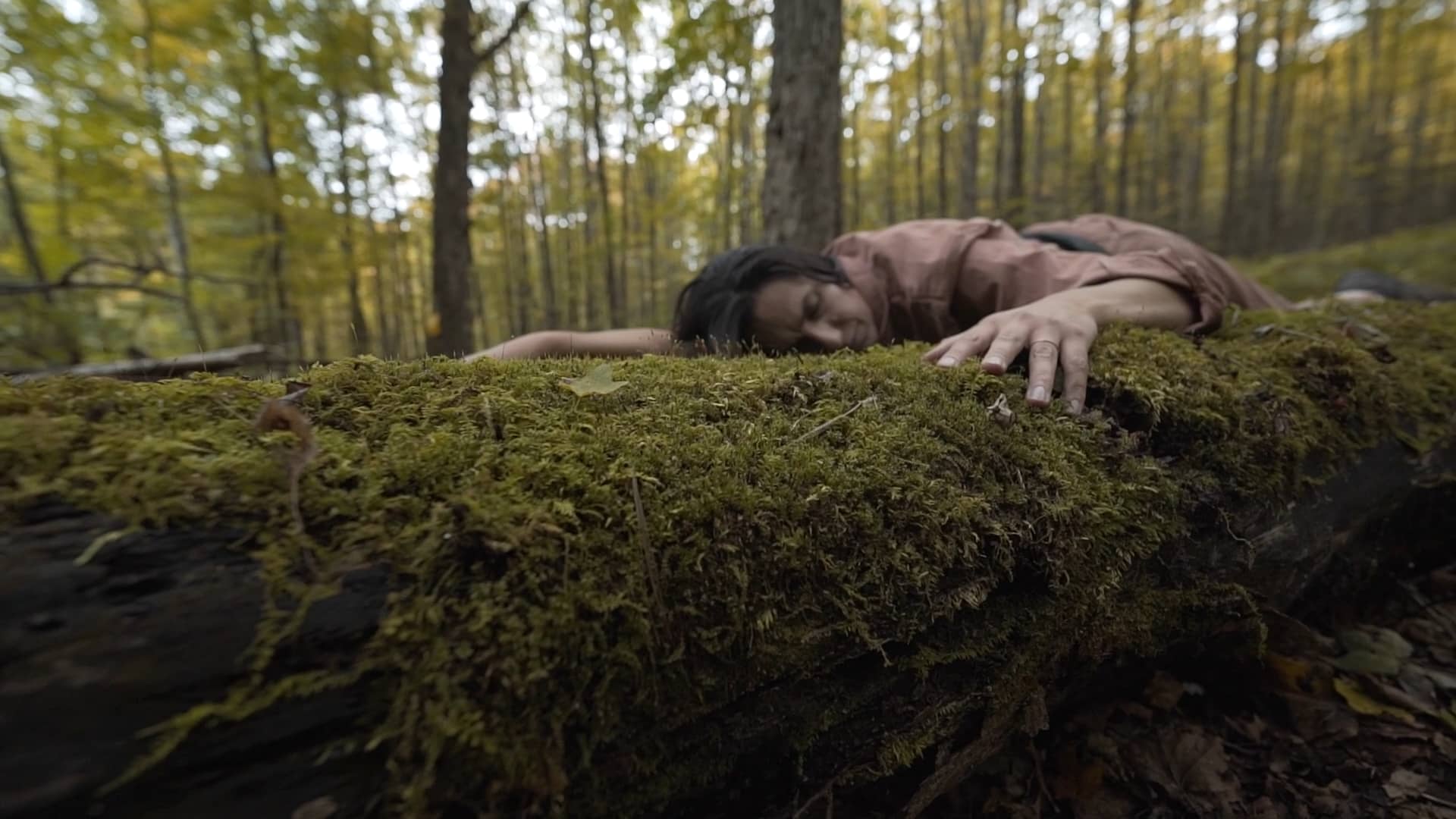 Pulled from Sleep on Vimeo