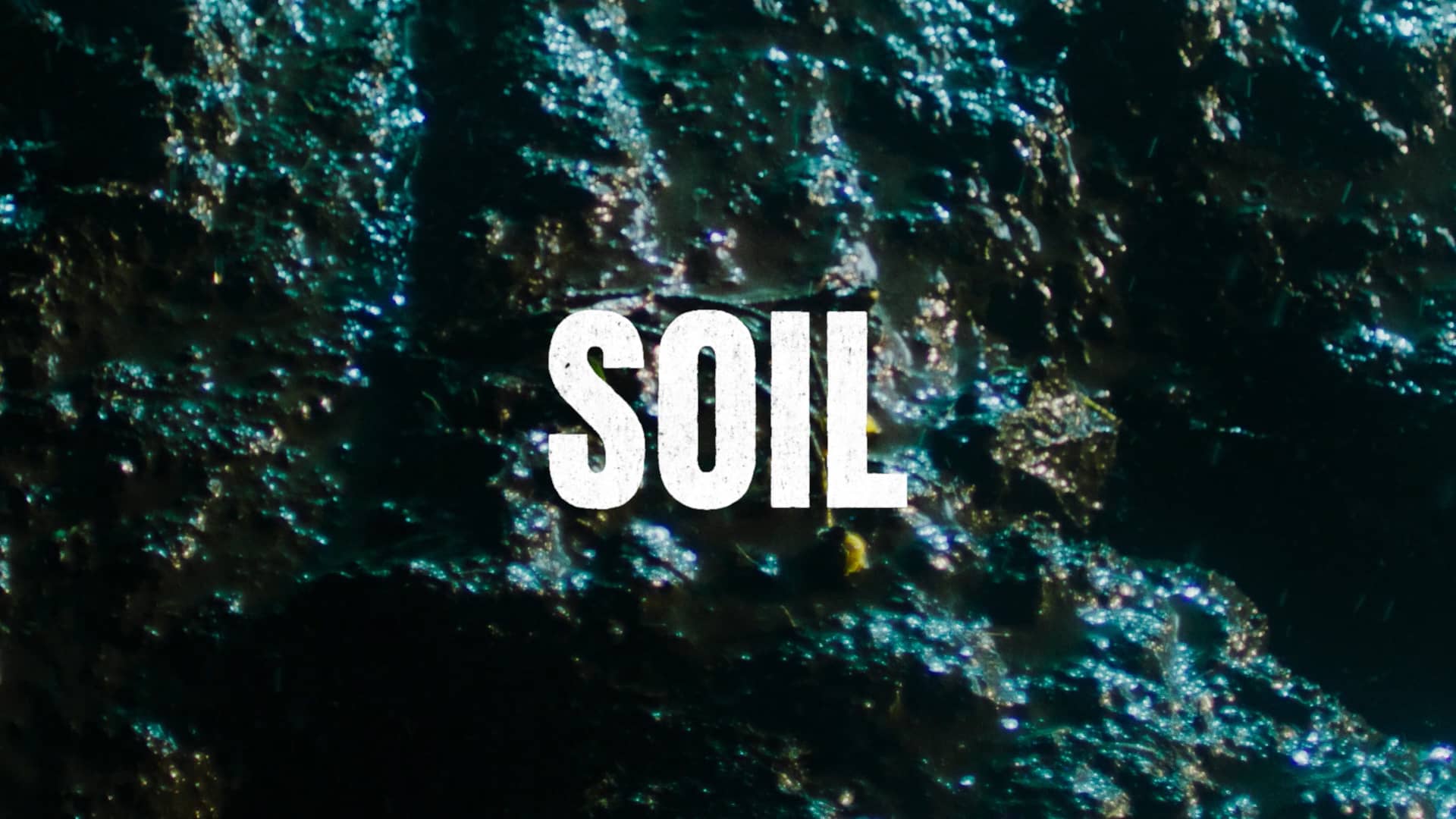 FIGHTING MUD on Vimeo