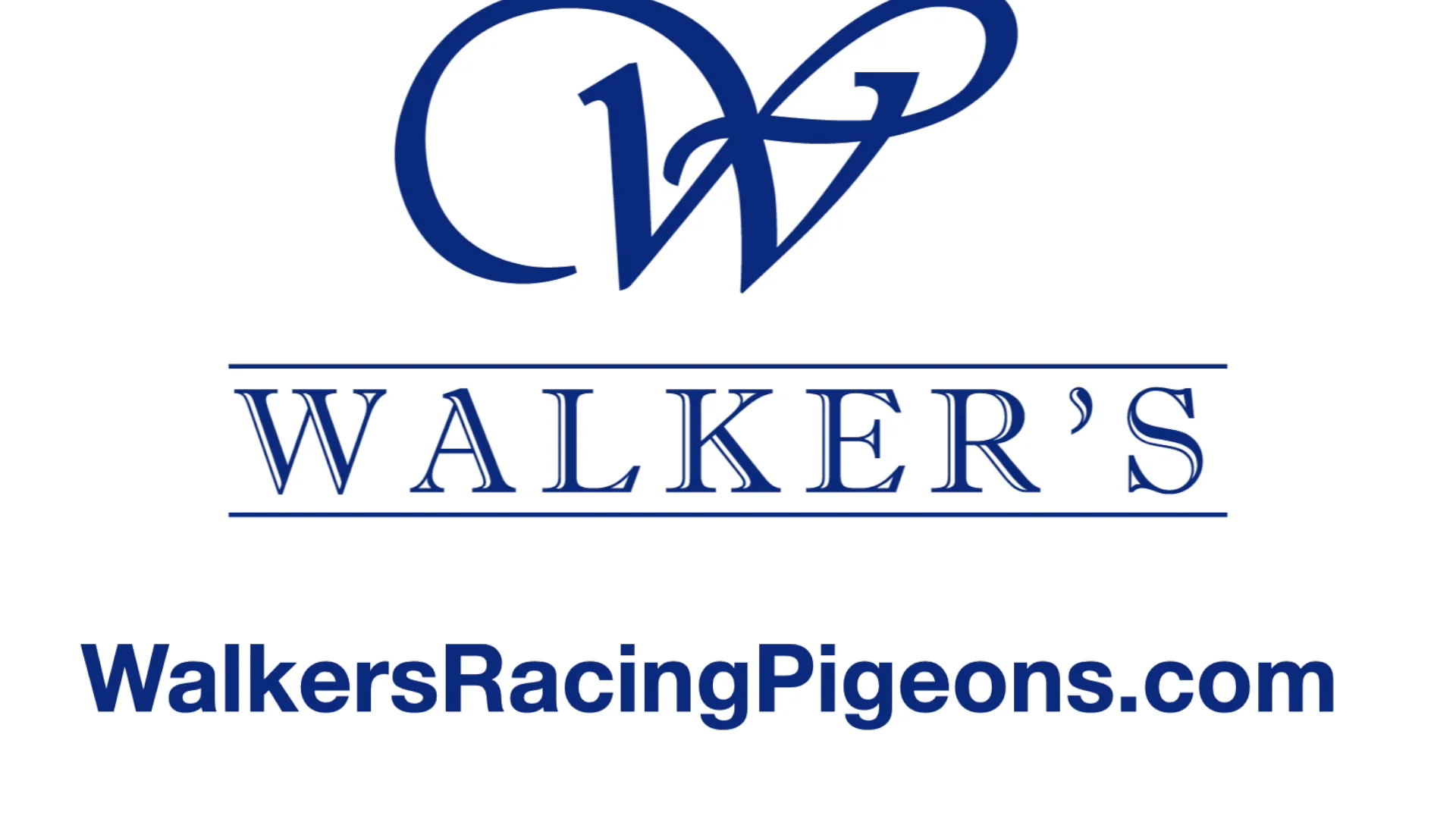 Walkers Racing Pigeons on Vimeo