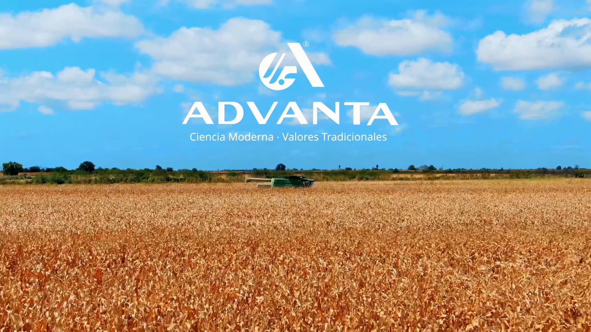Maíz Destructor | Advanta Seeds 2022 on Vimeo
