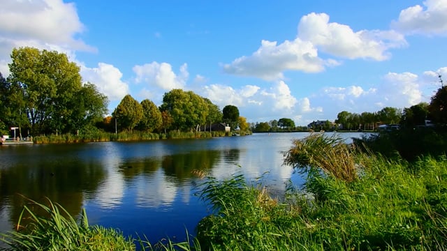 Riverside River Rushes - Free video on Pixabay