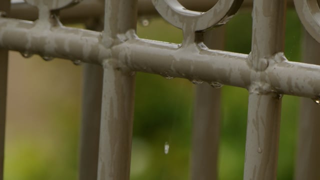 Guard, Rain, Water. Free Stock Video - Pixabay