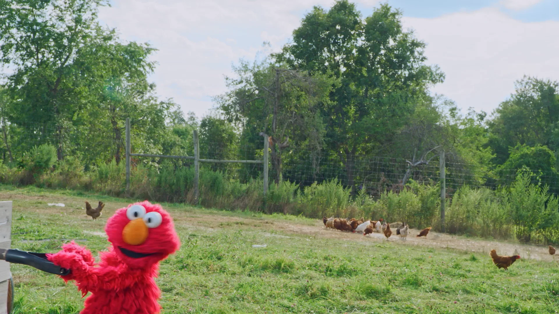 Sesame Street_5227_Haymobile on Vimeo