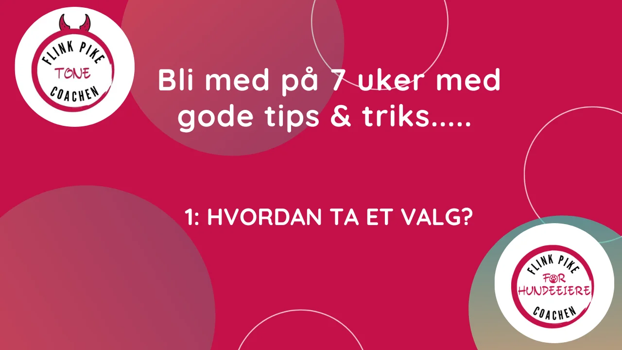 Hvordan ta et valg! on Vimeo