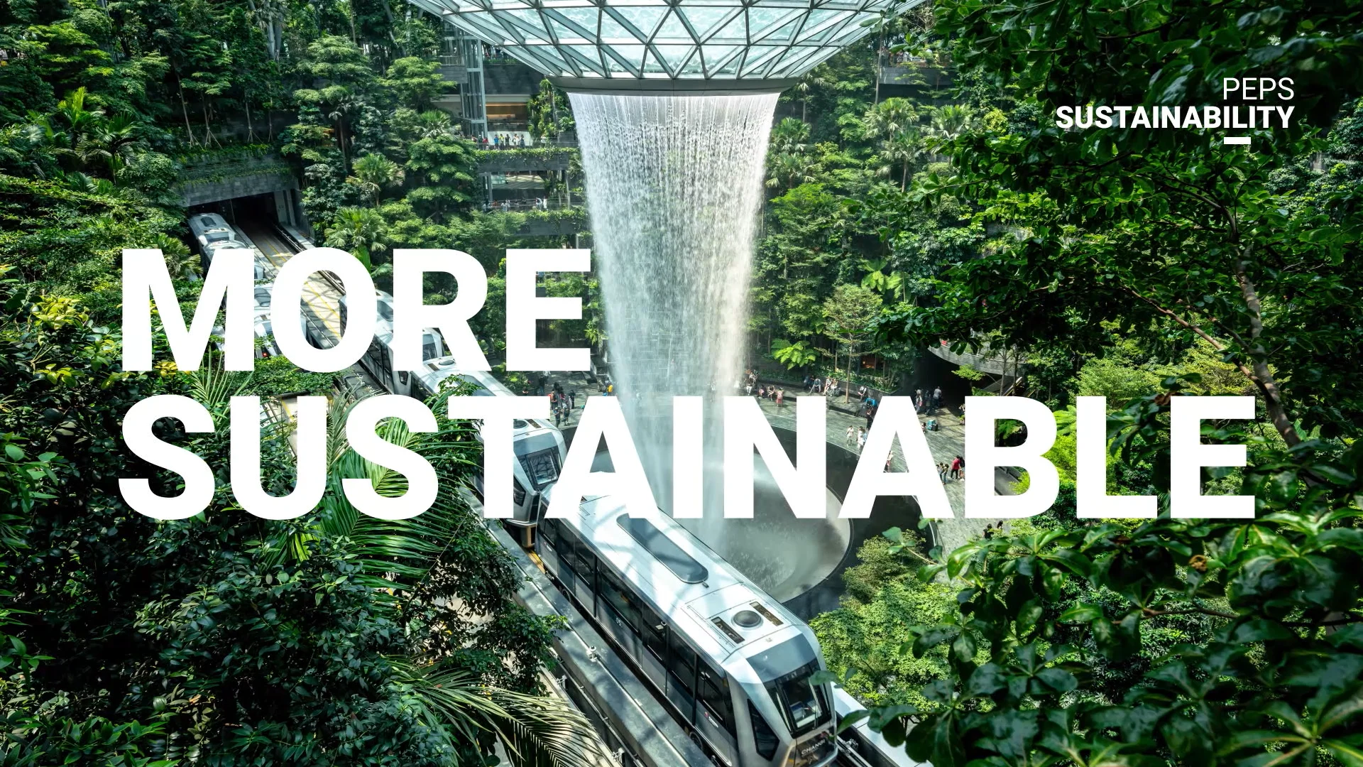 FINAL Our PEPS Strategy.mp4 on Vimeo