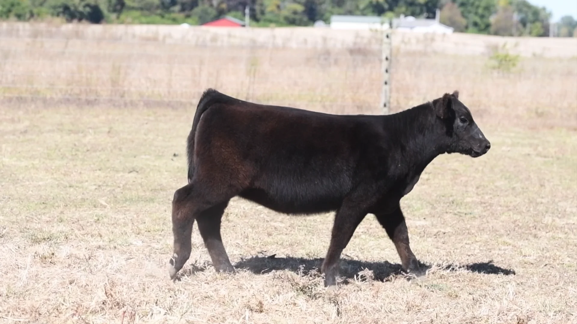 Four Corners Tag 4 on Vimeo