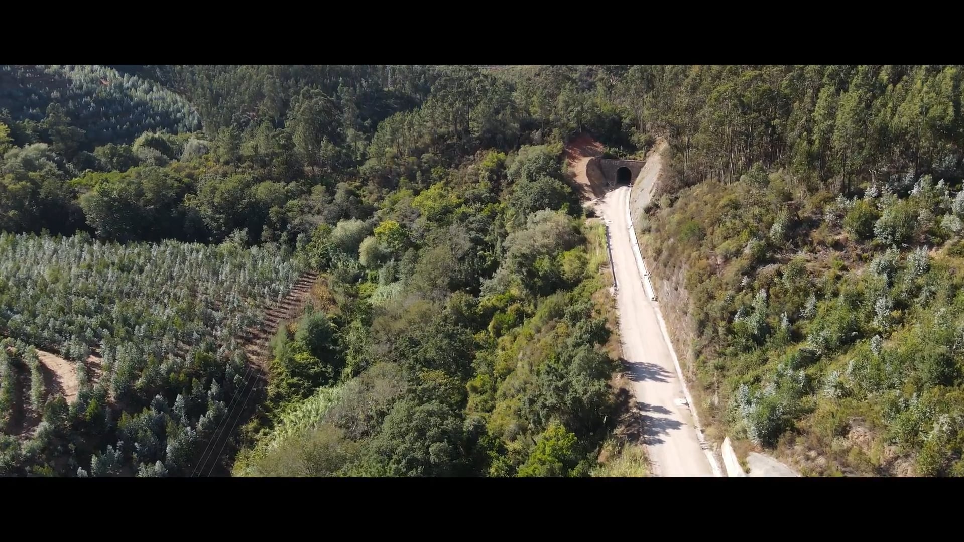 Photorail 2022.mp4 on Vimeo