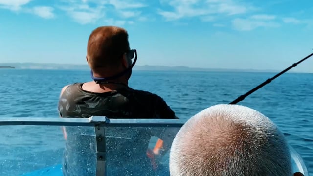 Sea Ocean Team - Free video on Pixabay