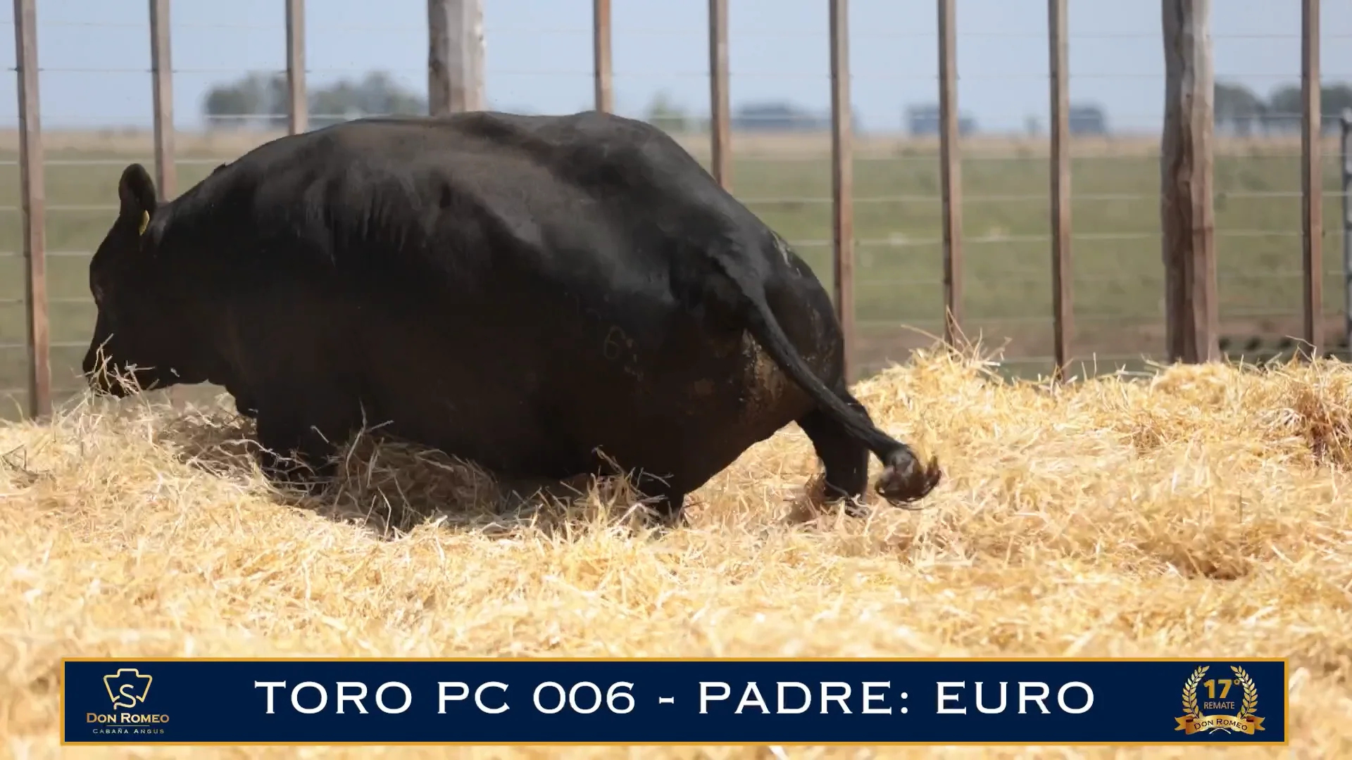 TORO PC 006 on Vimeo
