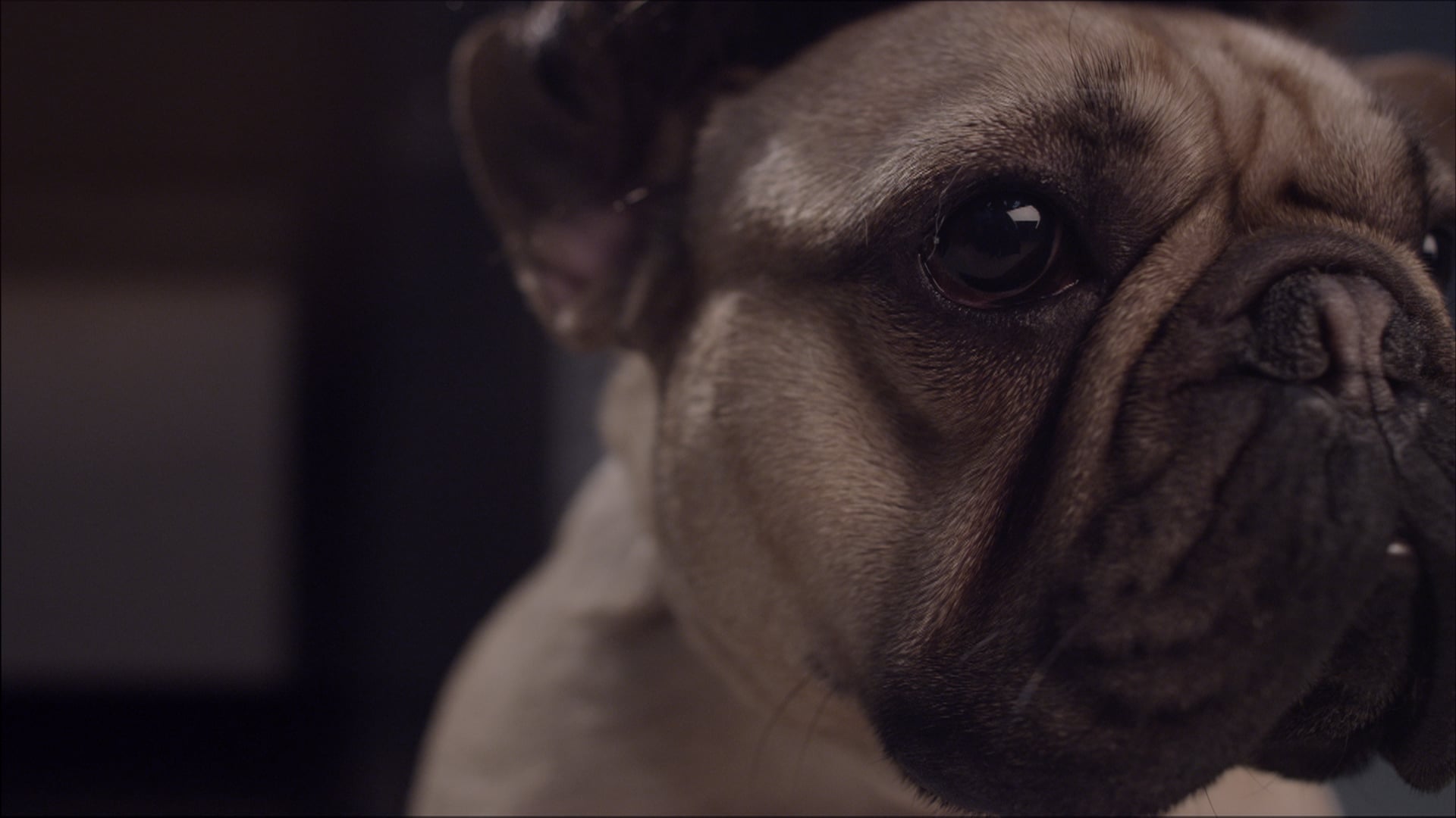 Expedia Advert - TOKYO on Vimeo