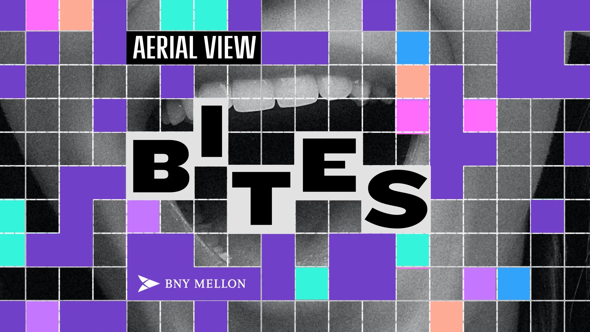 13 Michele Hillery 16-9_Website.mp4 on Vimeo