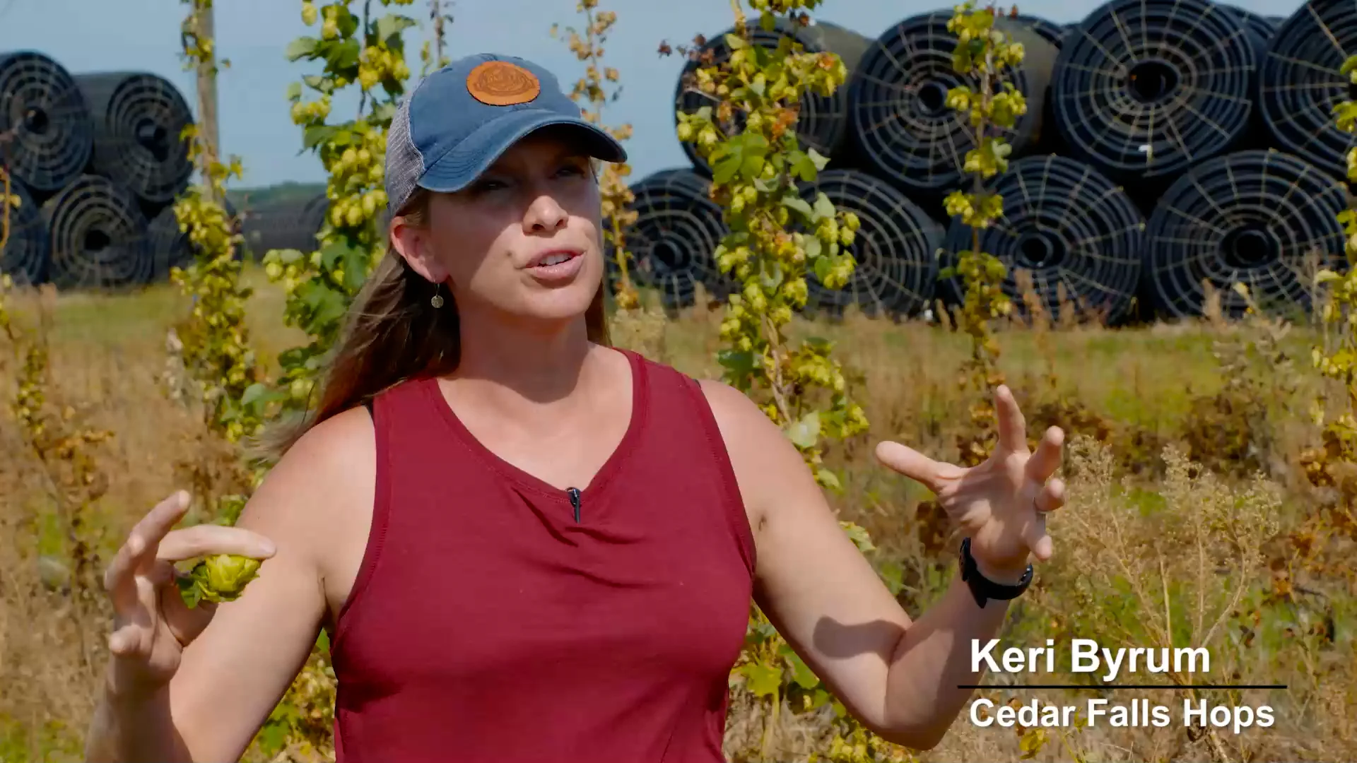 Keri Byrum: growing sustainable Iowa hops with unique flavor