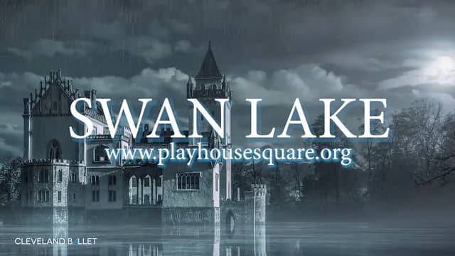 Buy Tickets to Swan Lake.mp4 on Vimeo