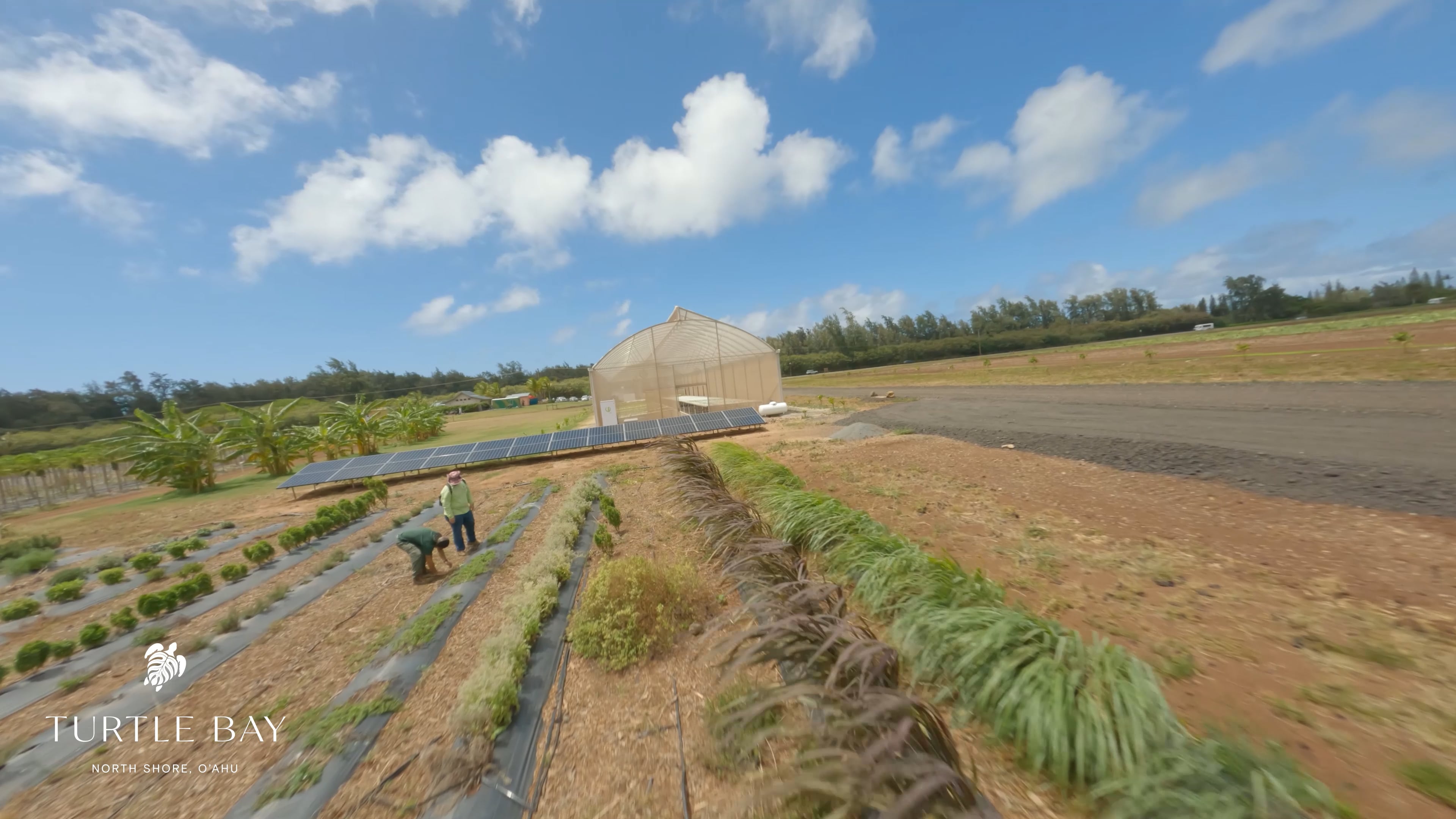 Kuilima Farm on Vimeo