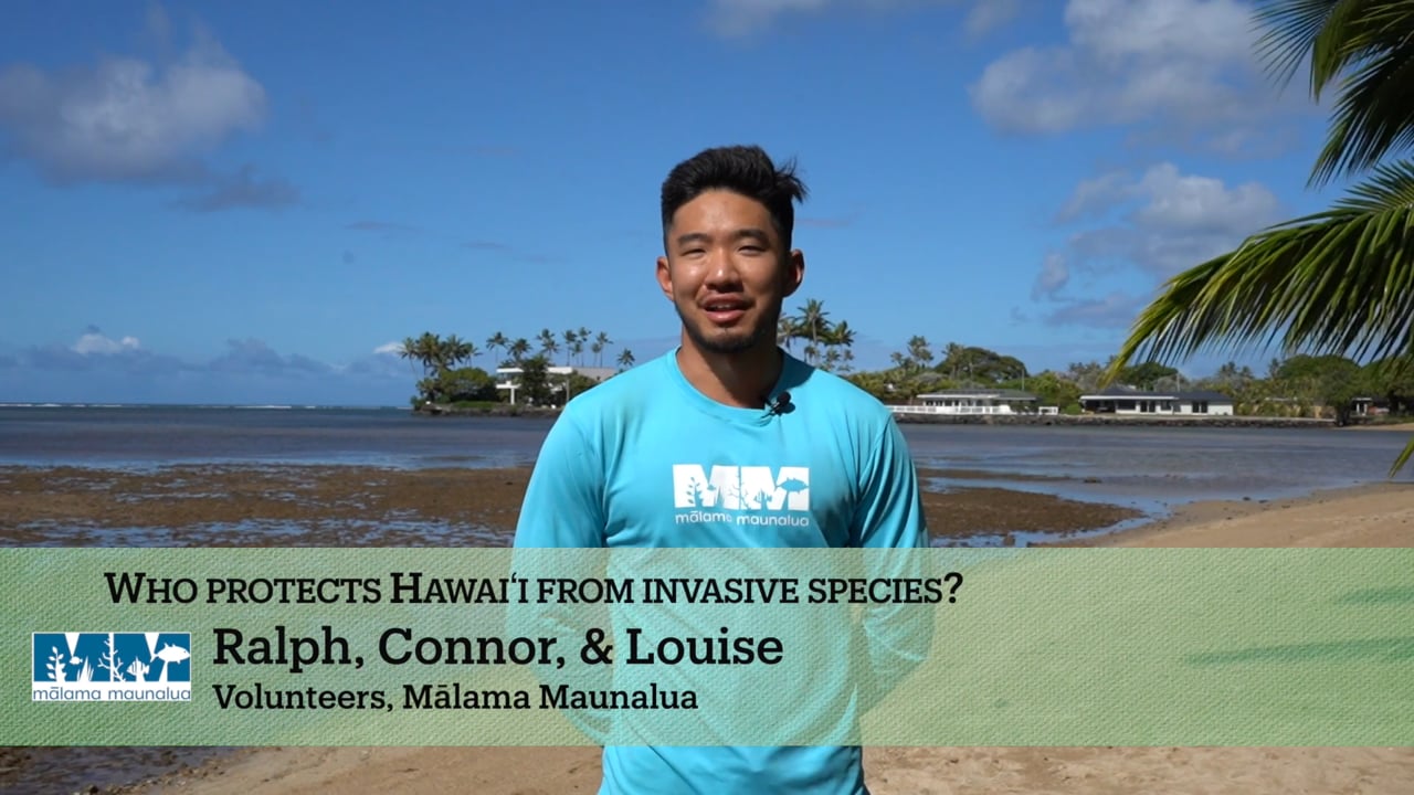 Who Protects Hawaii from Invasive Species?