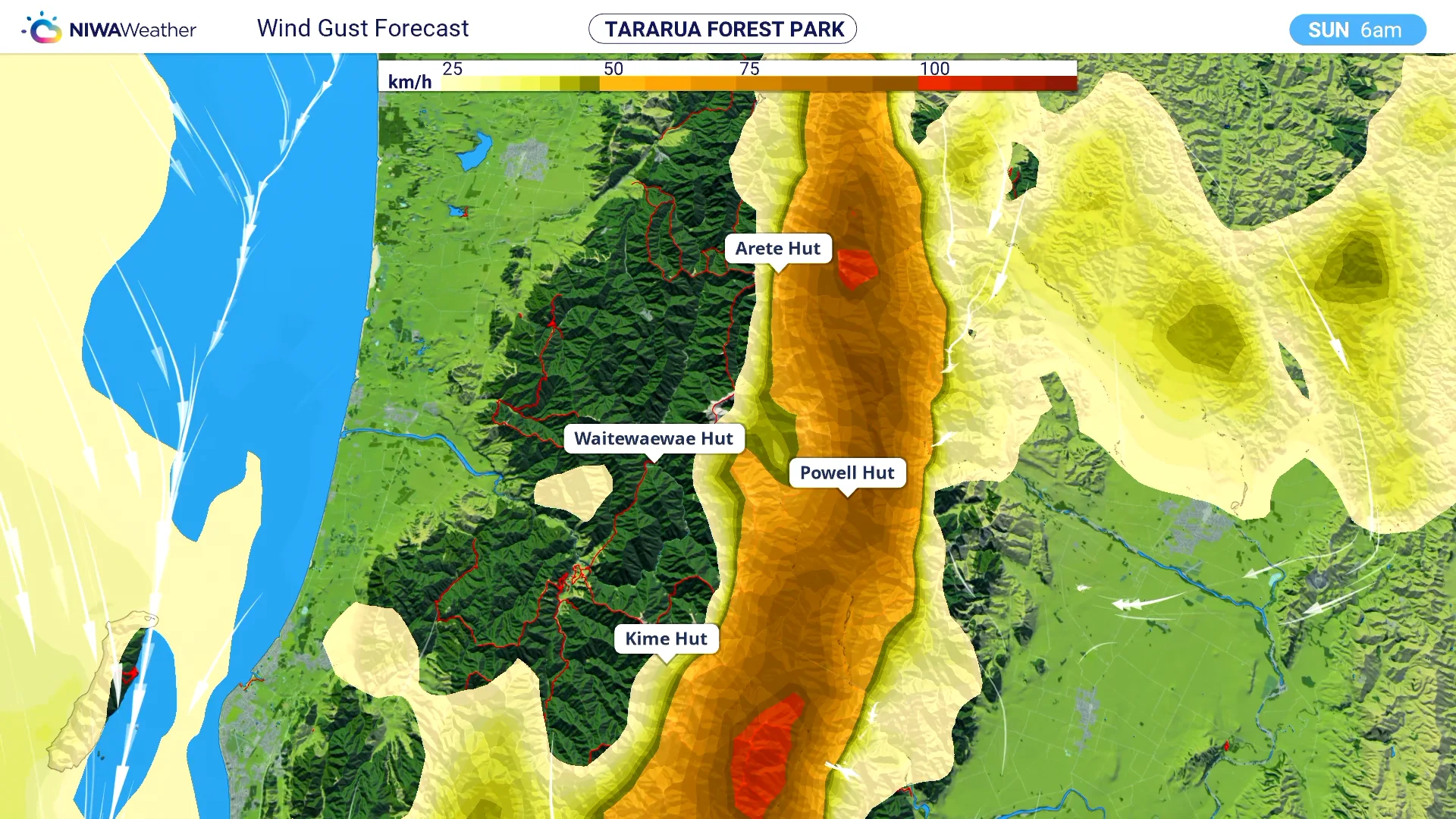 Tararua Forest Park Weather Outlook on Vimeo