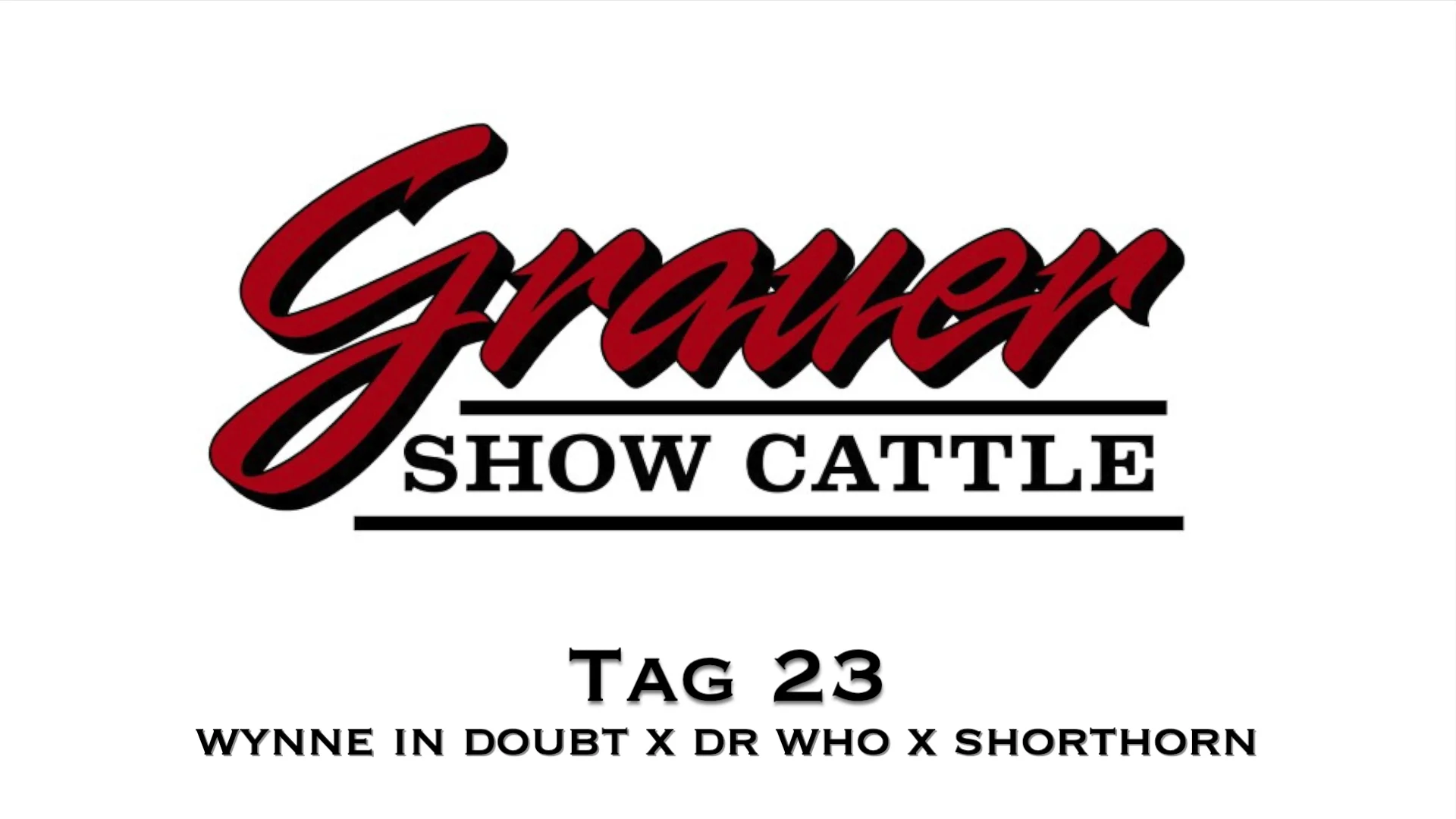 Grauer Tag 23.mp4 on Vimeo