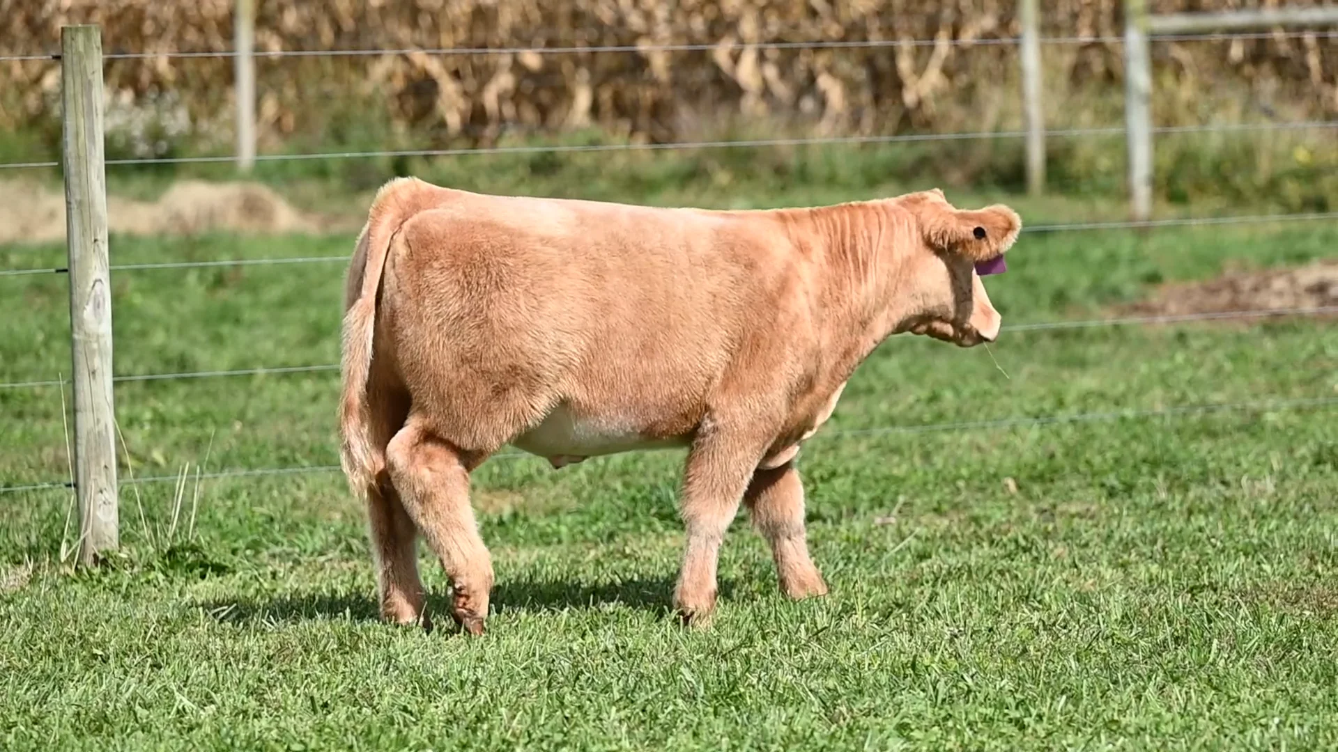 Grauer Tag 70.mp4 on Vimeo