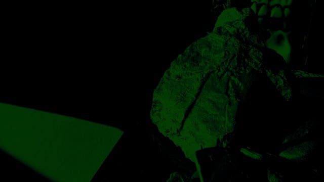 Skull Horror Thriller Green - Free video on Pixabay