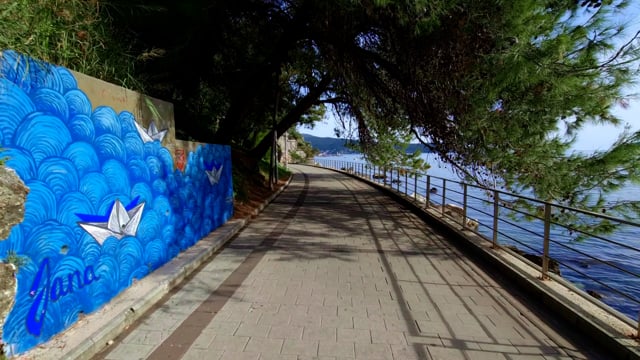 Sea, Ocean, Path. Free Stock Video - Pixabay