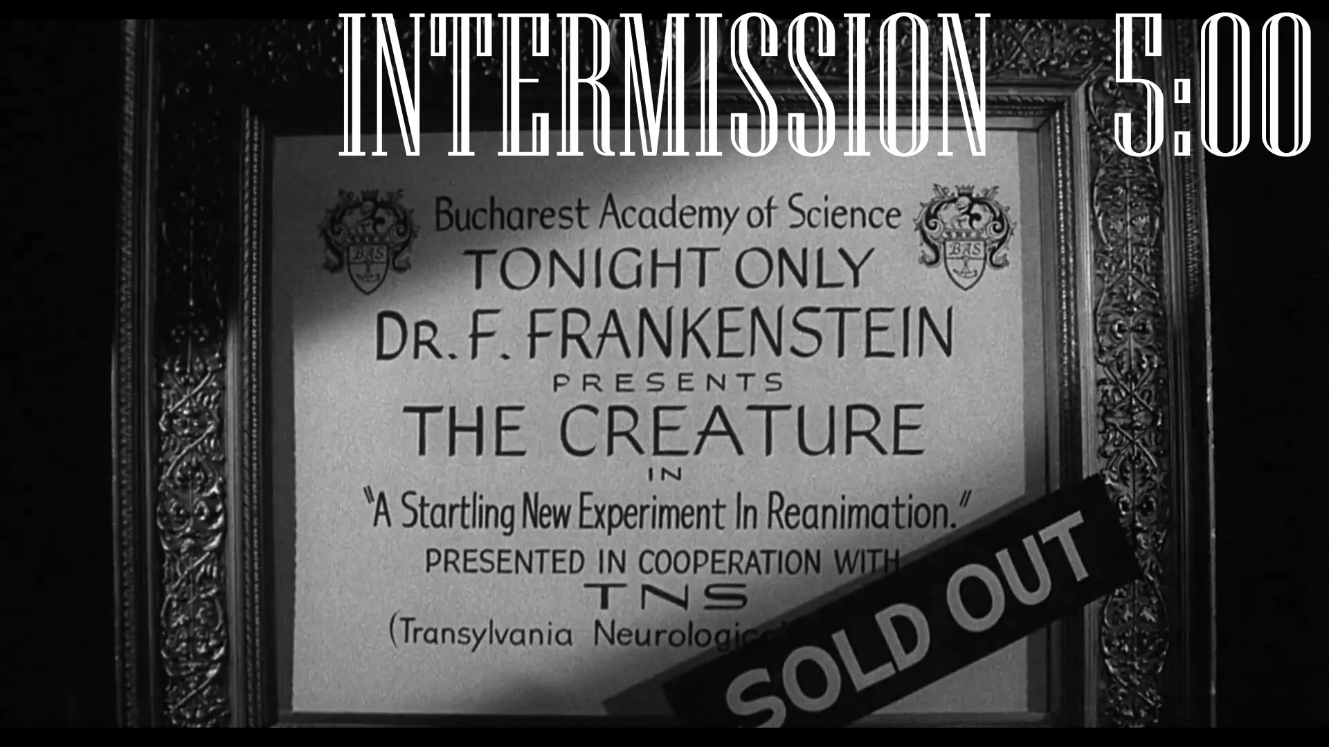 Intermission - Young FrankenSTEIN on Vimeo