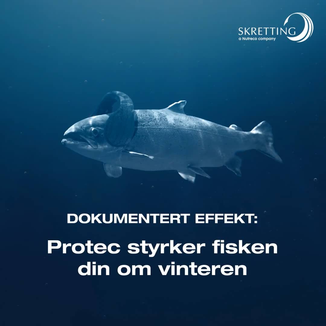 Protec_Animasjon _1.1_Fisk_3 on Vimeo