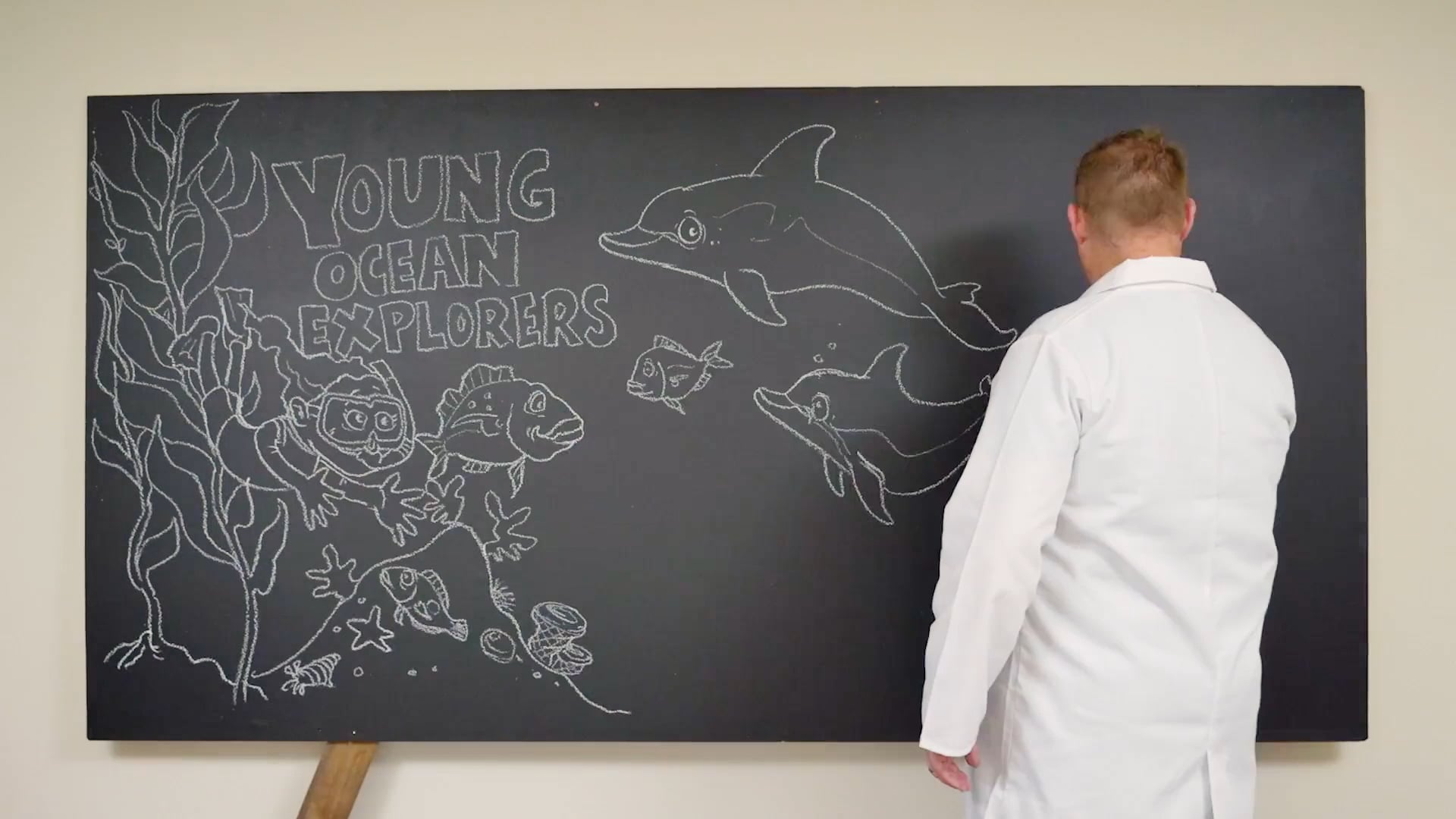 YOE - Video: Learn to Draw - Sperm Whale