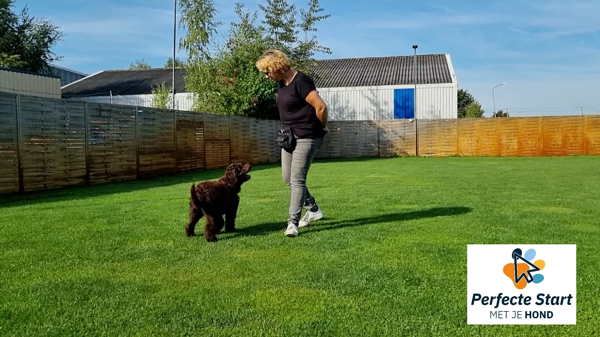 Hier klassiek conditioneren - stap 2 on Vimeo