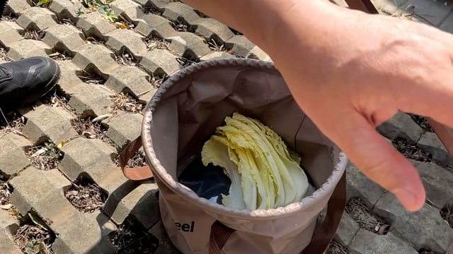 Vegetable, Cleaning, Pure Water. Free Stock Video - Pixabay