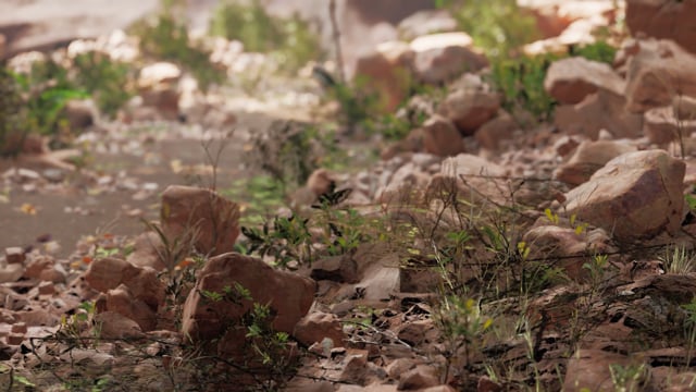 Soil Cave Garden - Free video on Pixabay