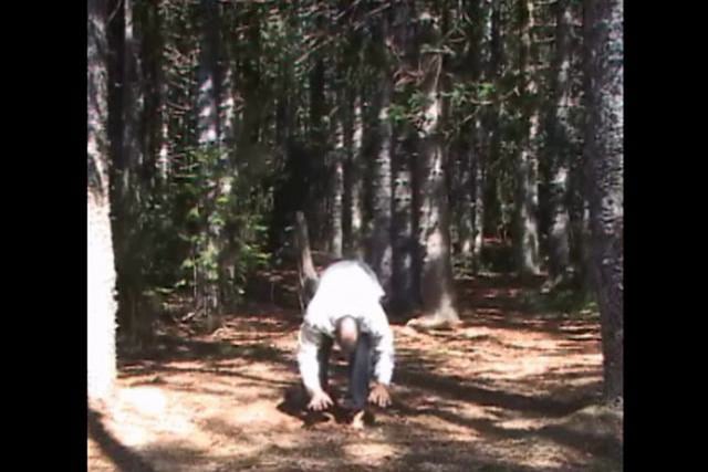 BONE MARROW WASHING QIGONG: Forms 4 on Vimeo