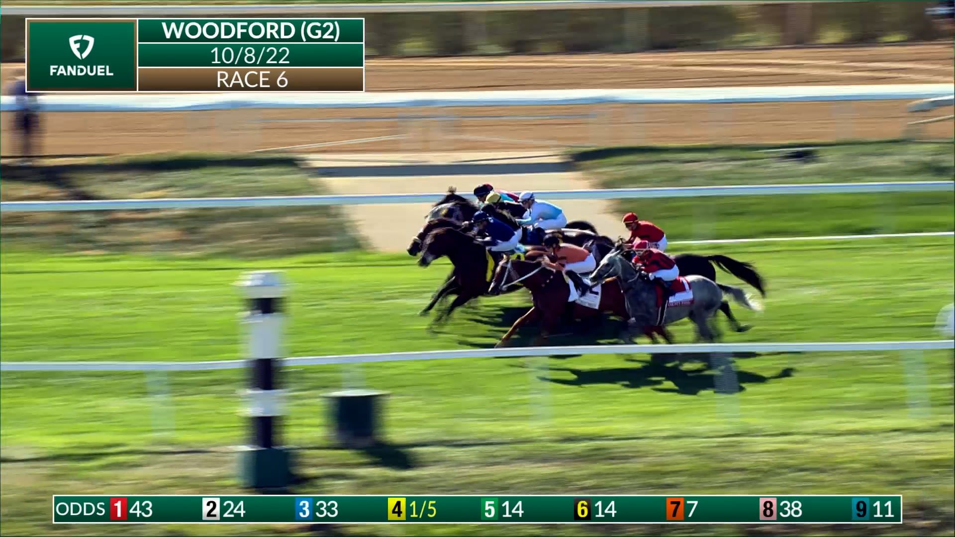 Golden Pal | Stallions - Coolmore America