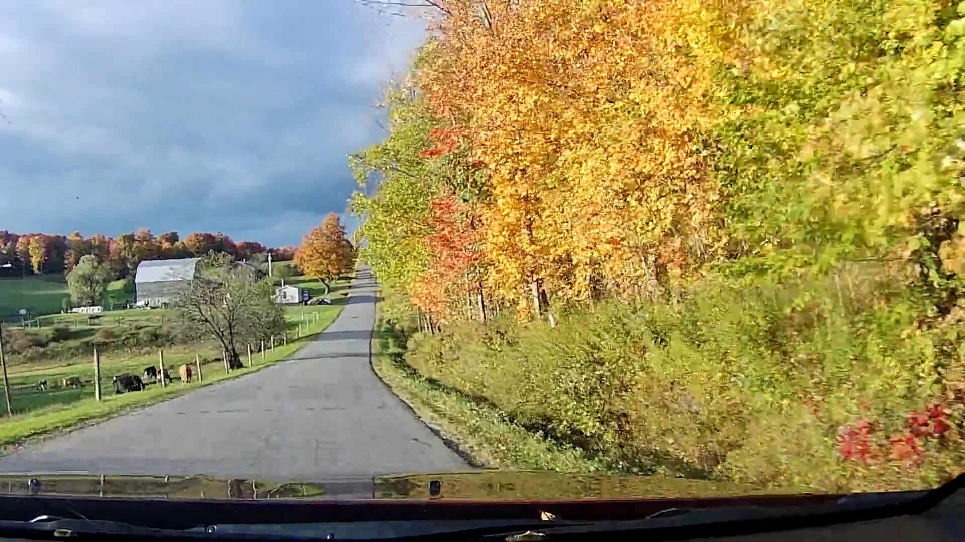Catskills Fall Colors Peak 2022.mp4 on Vimeo