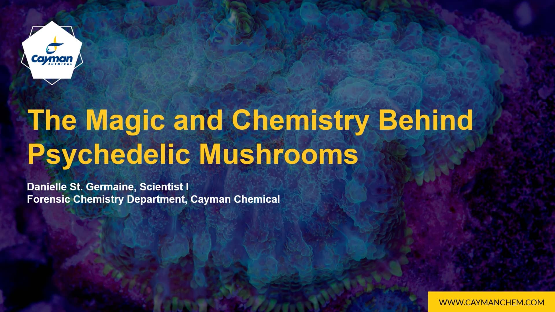 The Magic and Chemistry Behind Psychedelic Mushrooms on Vimeo